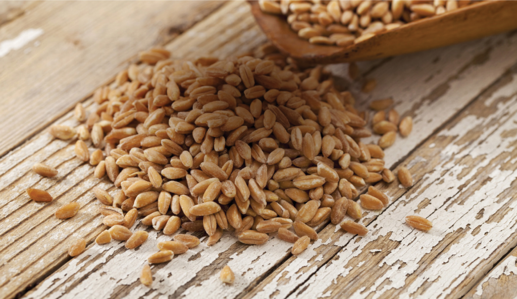 Products page – Karlin Foods